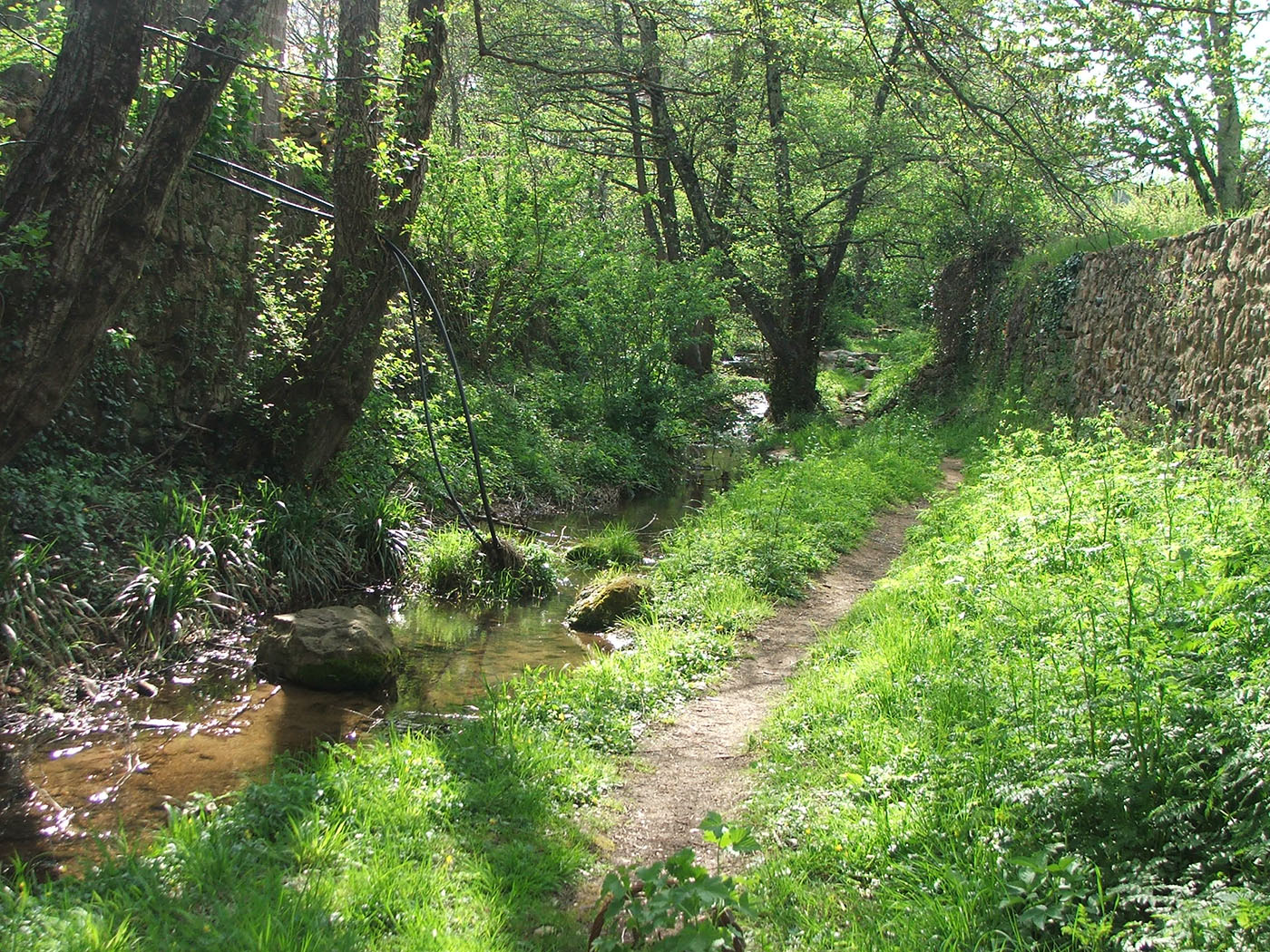 Randonnée du Toufache au Blajoux | Ruisseaux, passages à gué, patrimoine